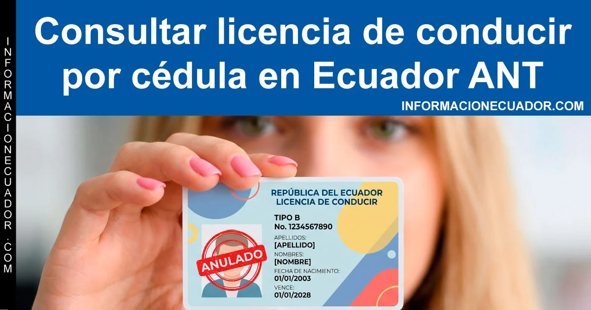 Consultar licencia de conducir por cédula en Ecuador ANT